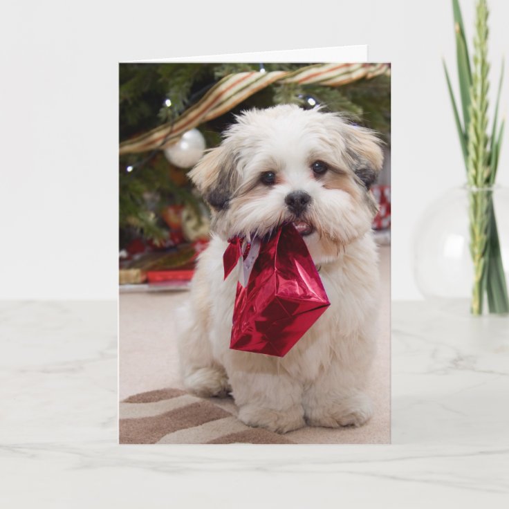 Sweet Christmas Puppy Cards | Zazzle