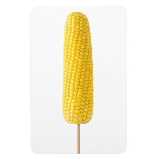 Sweet corn on stick magnet | Zazzle.com