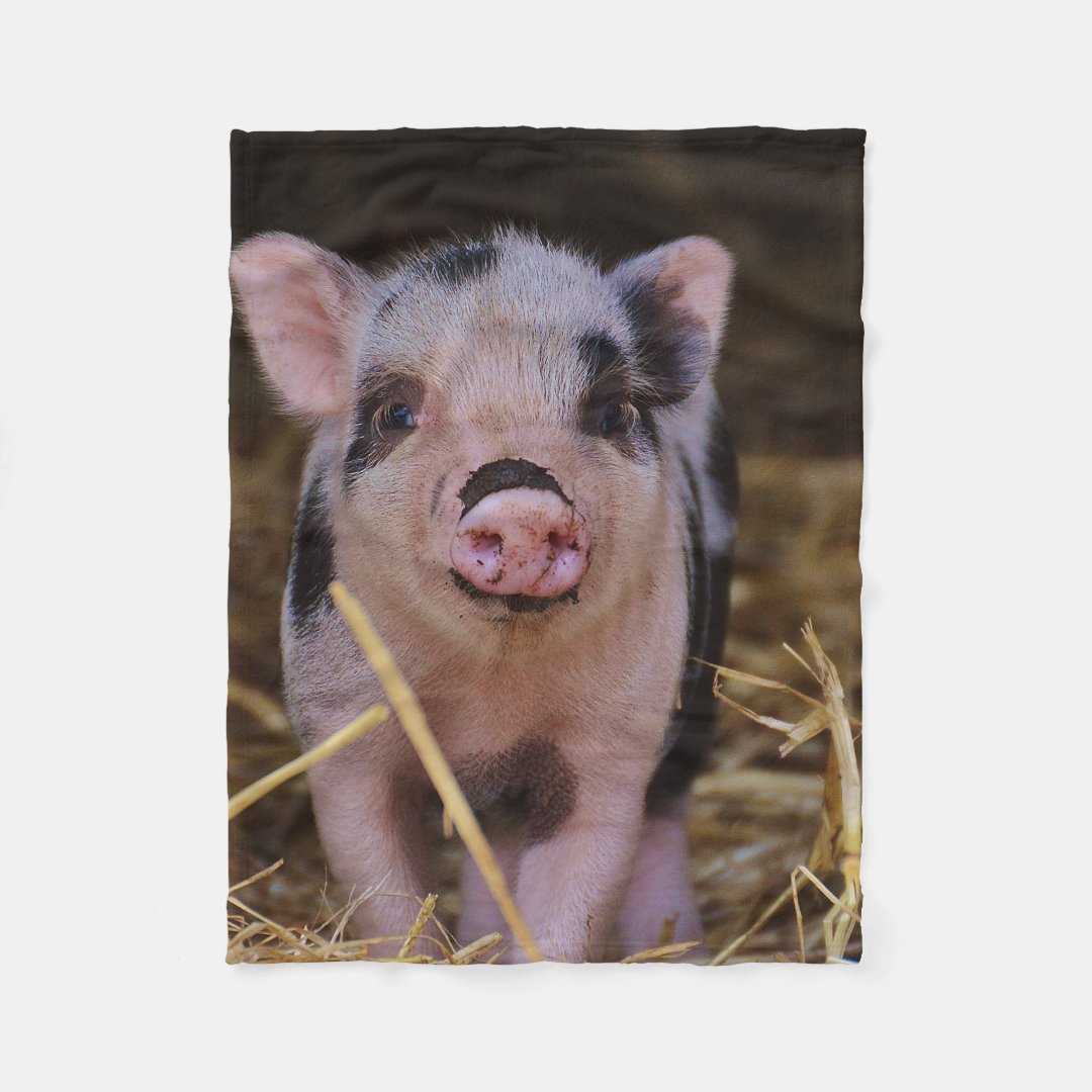 Sweet Cute Pig Fleece Blanket | Zazzle