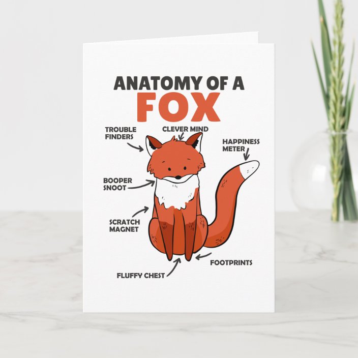 Sweet Fox Explanation Anatomy Of Fox Card | Zazzle.com