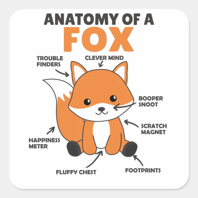 Sweet Fox Explanation Anatomy Of Fox Square Sticker | Zazzle