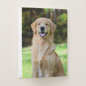 Sweet Golden Retriever Dog Pocket Folder | Zazzle
