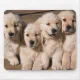 Sweet Golden Retriever Puppies Mouse Pad | Zazzle