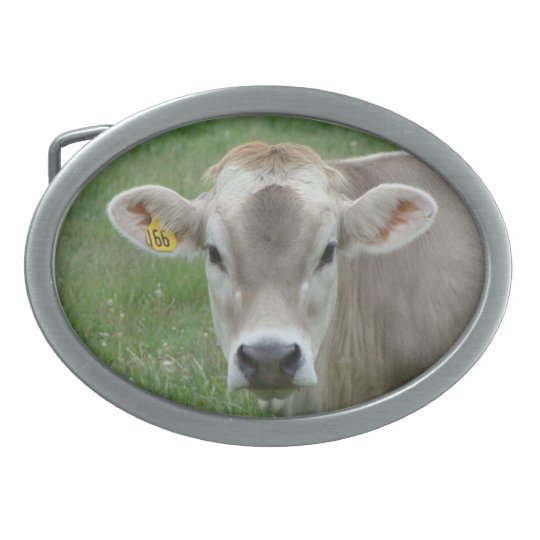 Sweet Jersey Cow Belt Buckle | Zazzle.com