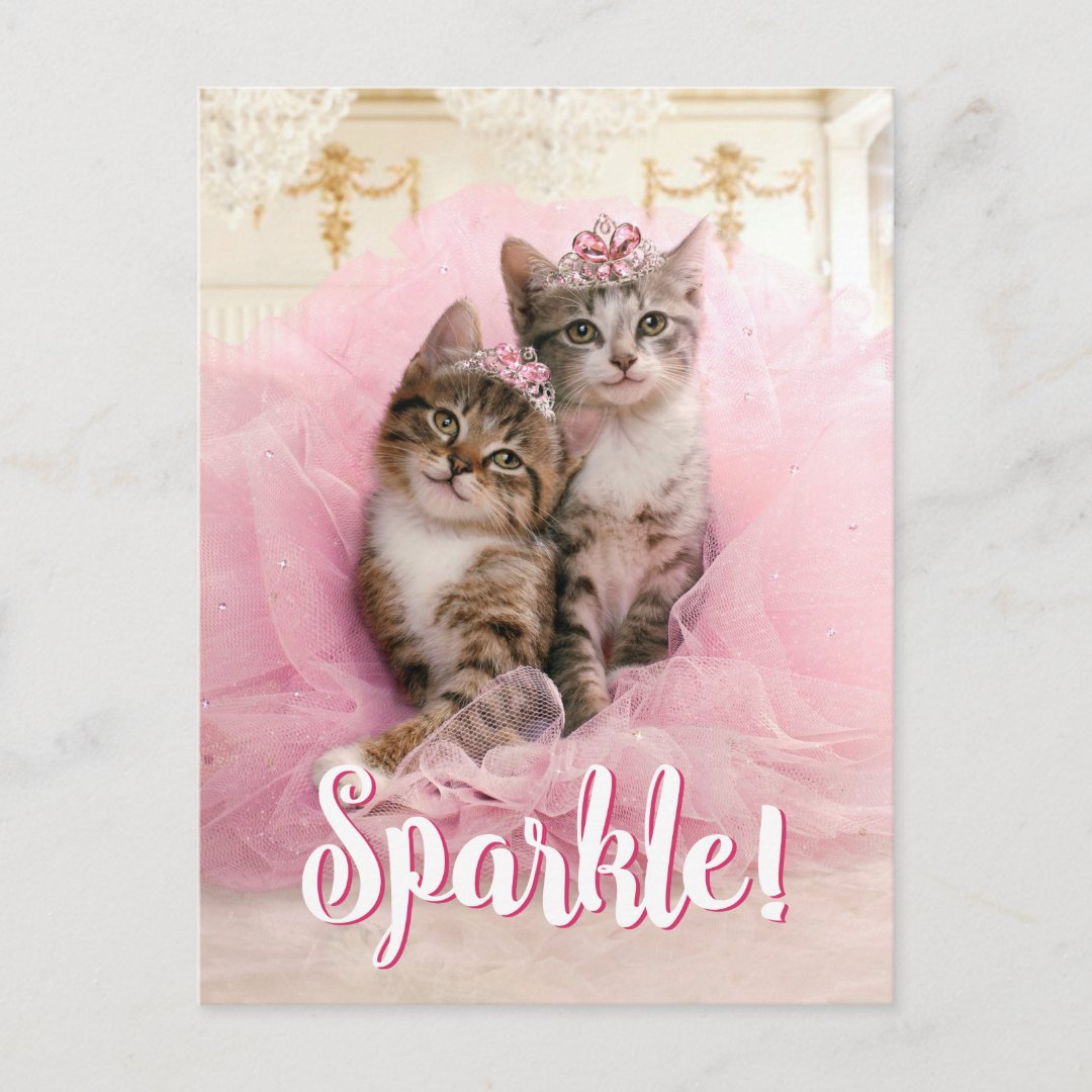 Sweet Kittens in Tiaras and Pink Sparkly Tutu Postcard | Zazzle