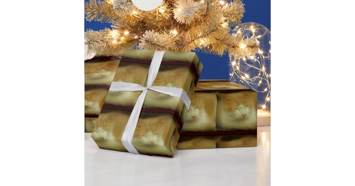 Sweet Kitty Cat Wrapping Paper | Zazzle