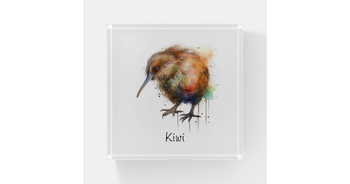 Sweet Kiwi, custom Paperweight | Zazzle