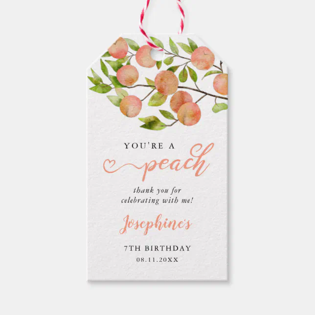 Sweet Little Peach Birthday Party Gift Tags | Zazzle