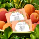 Sweet Little Peach Books for Baby Ticket Enclosure Card | Zazzle