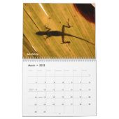 Sweet lizards calendar | Zazzle