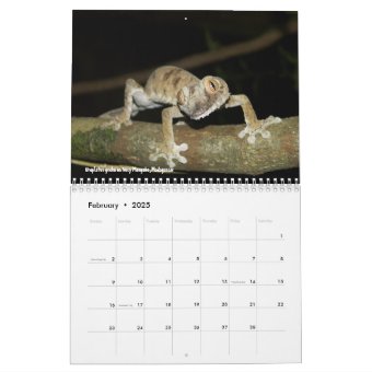 Sweet lizards calendar | Zazzle
