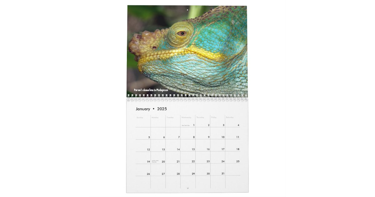 Sweet lizards calendar | Zazzle