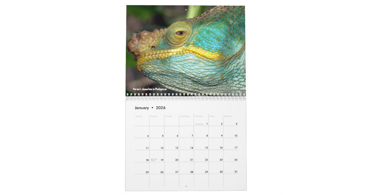 Sweet lizards calendar | Zazzle