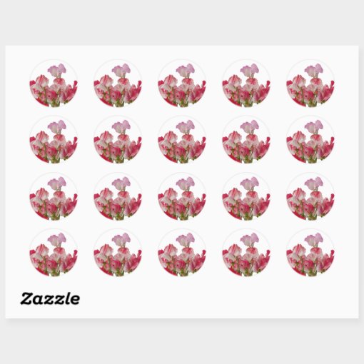 Sweet Pea Flowers Sticker | Zazzle