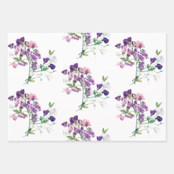 Sweet Pea Wrapping Paper Flat Sheet Set of 3 | Zazzle