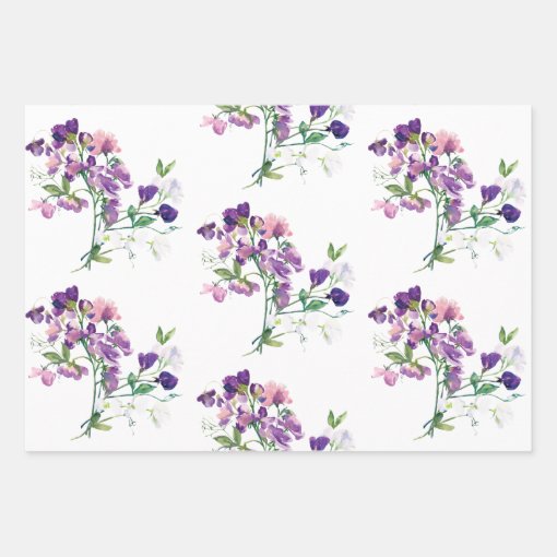 Sweet Pea Wrapping Paper Flat Sheet Set of 3 | Zazzle