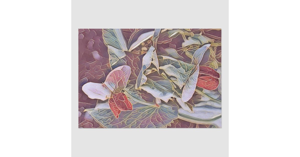 SWEET PEAS TISSUE PAPER | Zazzle