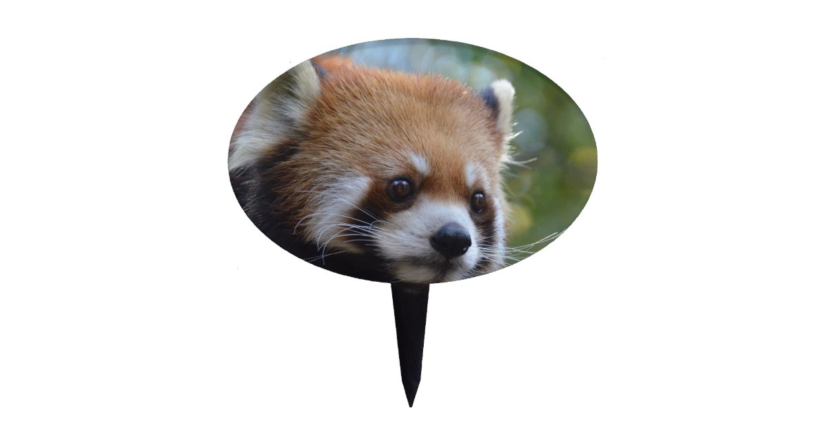 Sweet Red Panda Bear Cake Topper | Zazzle