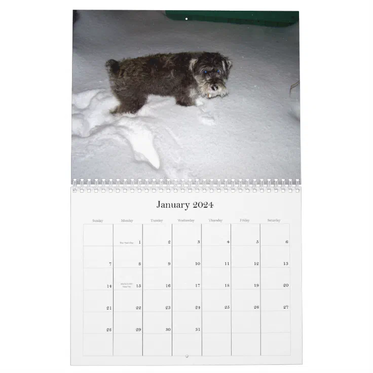 sWEET sHAMUS thru the dayZ Calendar | Zazzle