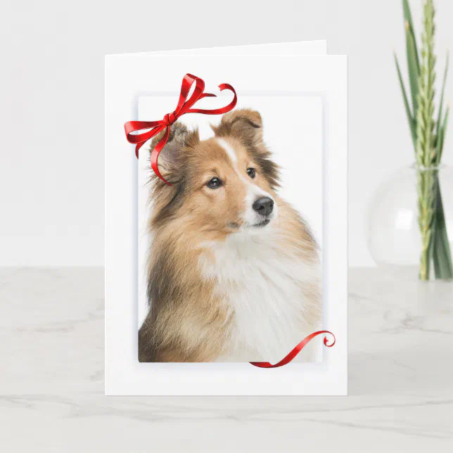 Sweet Sheltie Christmas Card | Zazzle