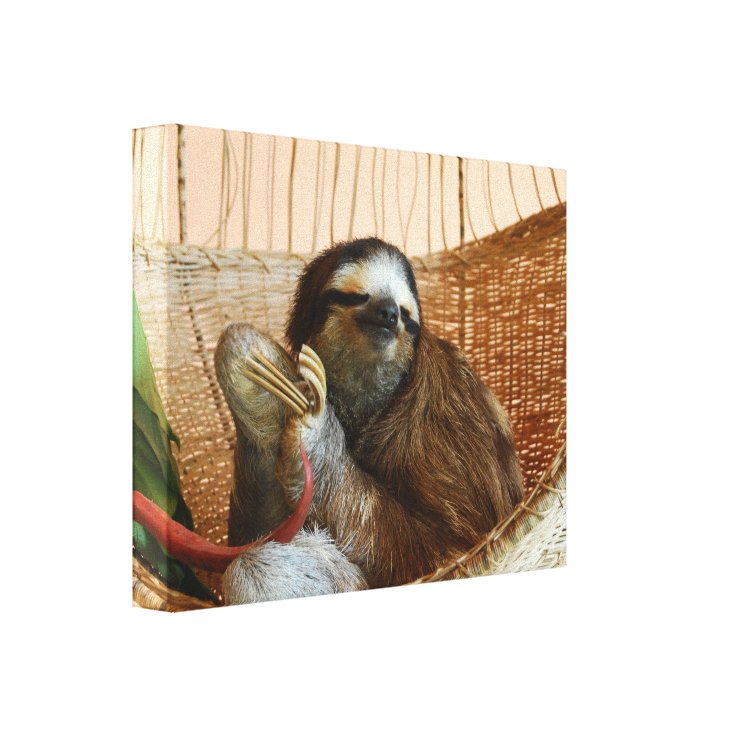 Sweet Sloth Canvas Print | Zazzle