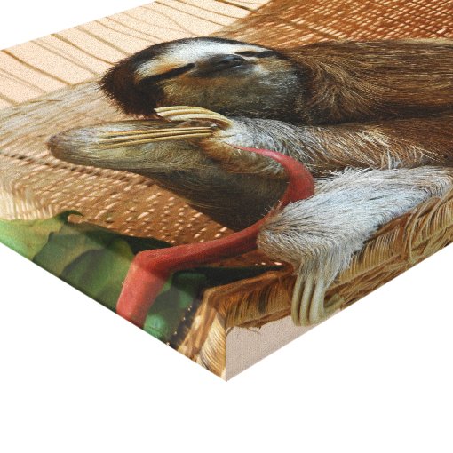 Sweet Sloth Canvas Print | Zazzle