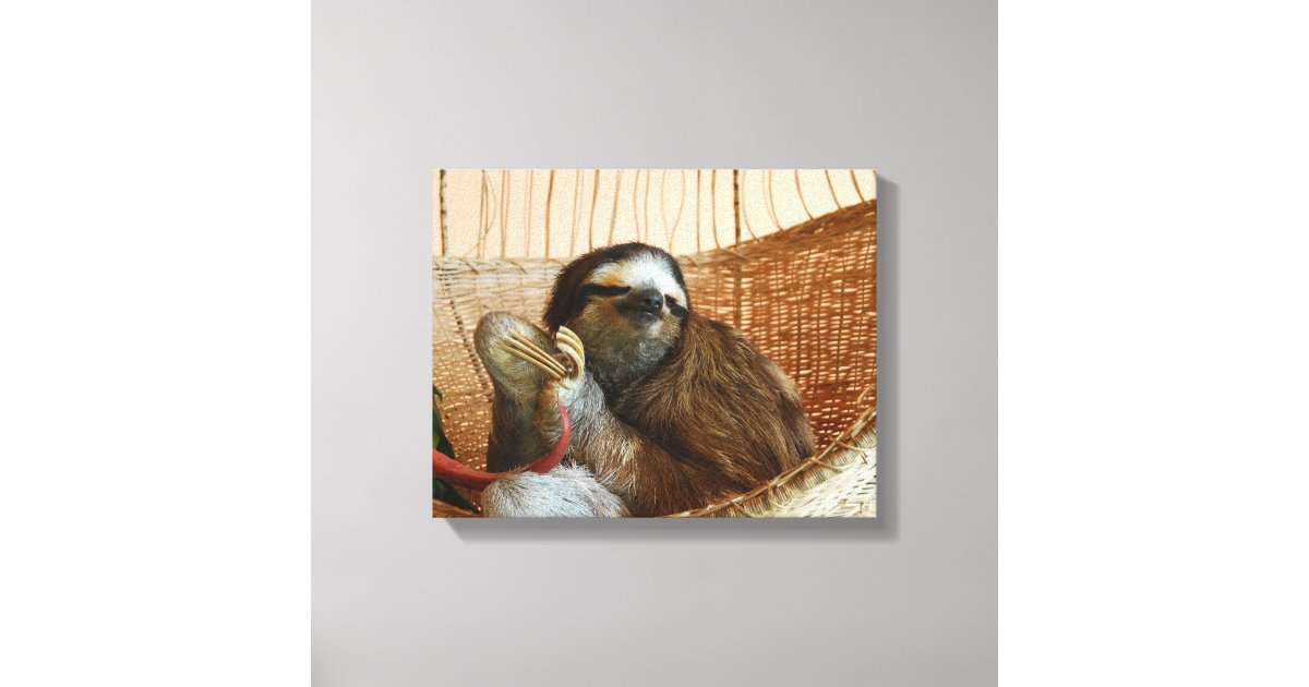 Sweet Sloth Canvas Print | Zazzle