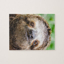 Sweet Sloth Jigsaw Puzzle | Zazzle