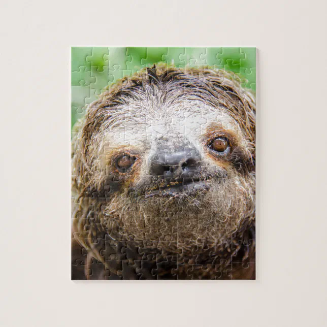 Sweet Sloth Jigsaw Puzzle | Zazzle