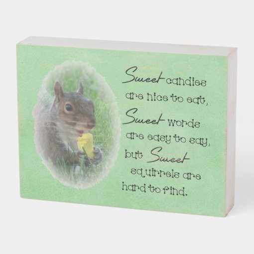 Sweet Squirrel Quote Photo Wooden Box Sign | Zazzle