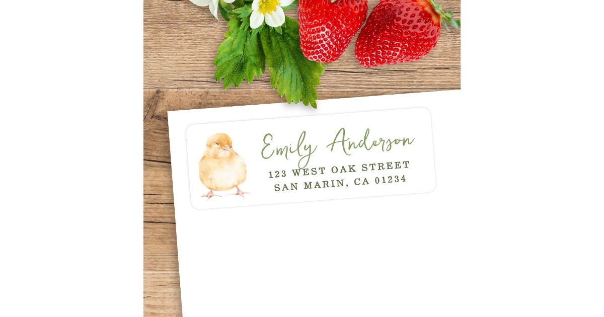 Sweet Watercolor Chick Baby Shower Return Address Label | Zazzle