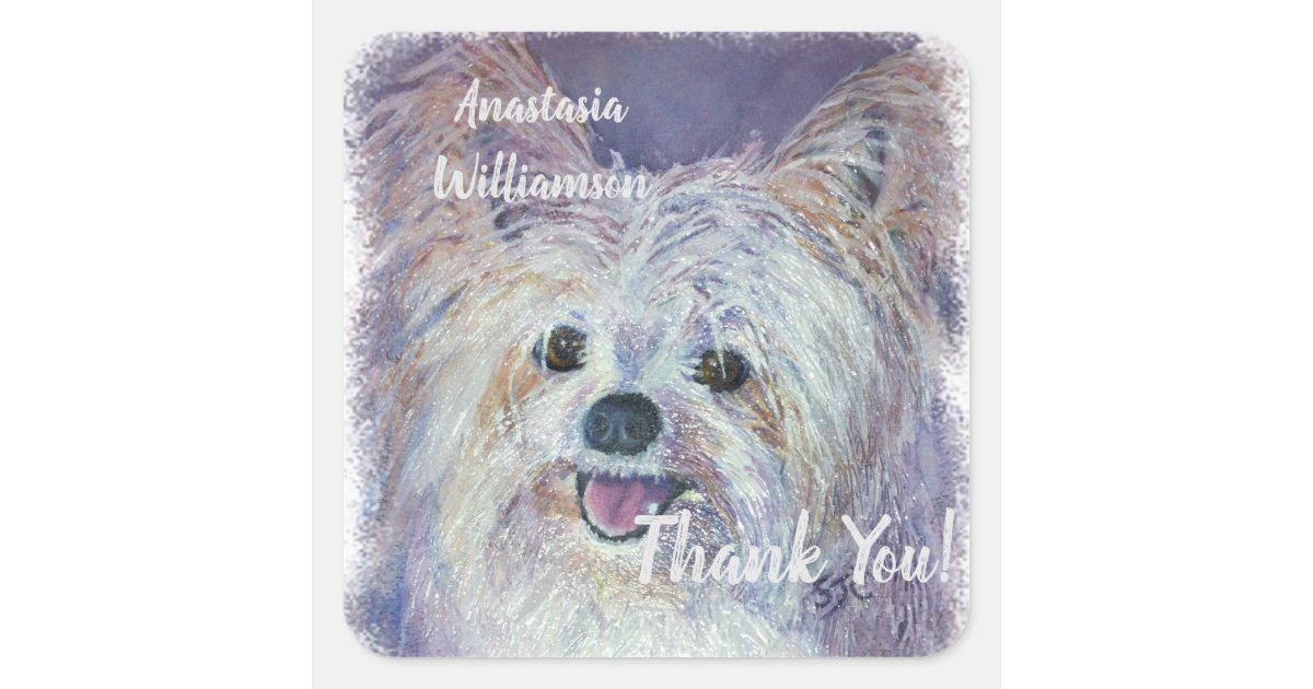 Sweet White Yorkie THANK YOU Square Sticker | Zazzle