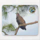 SWFL Eagle Cam Mouse Pad- E23 Mouse Pad | Zazzle