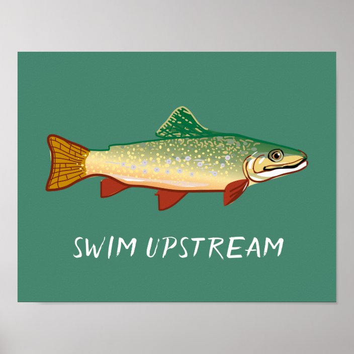 Swim Upstream Trout fish art illustration Poster | Zazzle.com