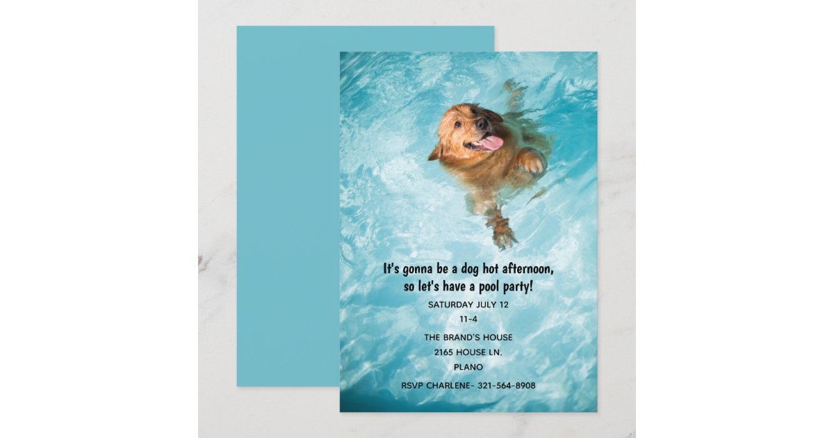 Swimming Dog Pool Party Invitation | Zazzle