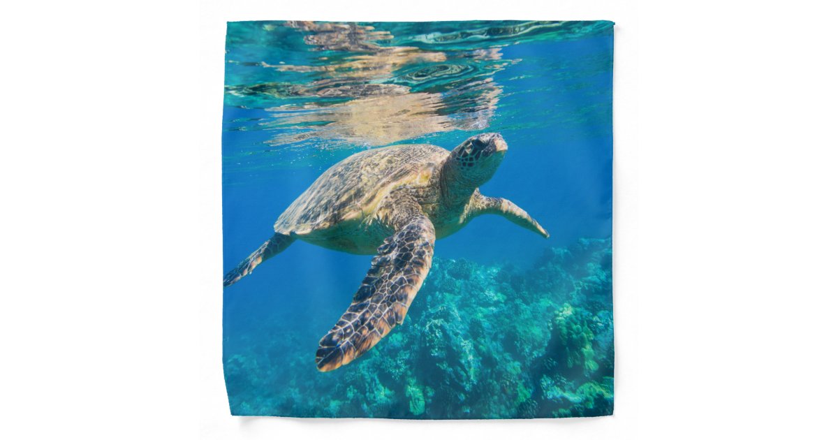 Swimming Sea Turtle Bandana | Zazzle
