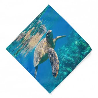 Swimming Sea Turtle Bandana | Zazzle