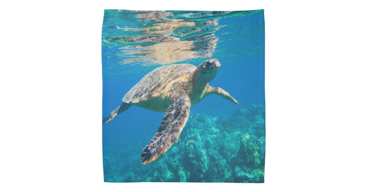 Swimming Sea Turtle Bandana | Zazzle.com
