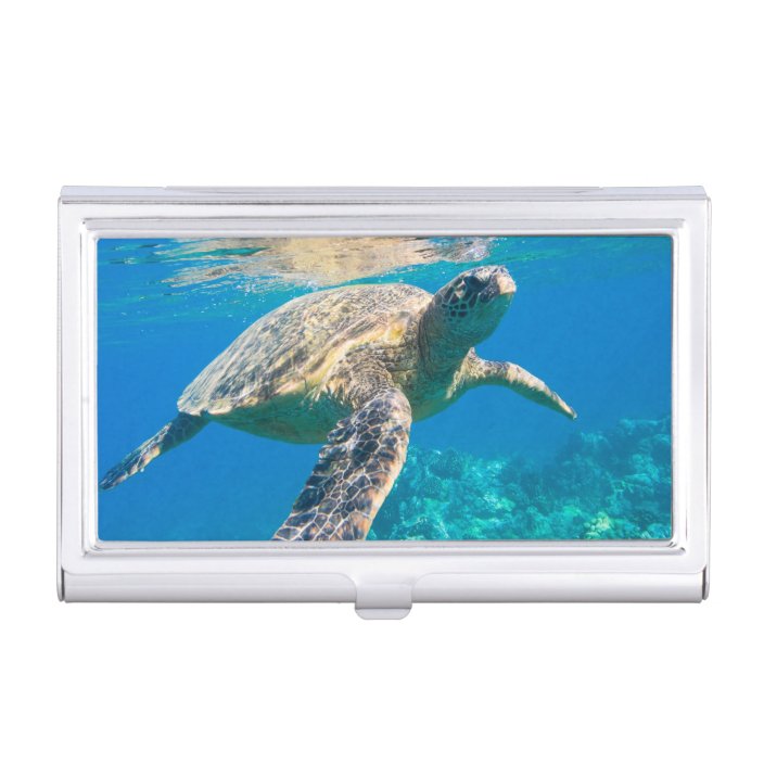 Swimming Sea Turtle Business Card Holder | Zazzle.com