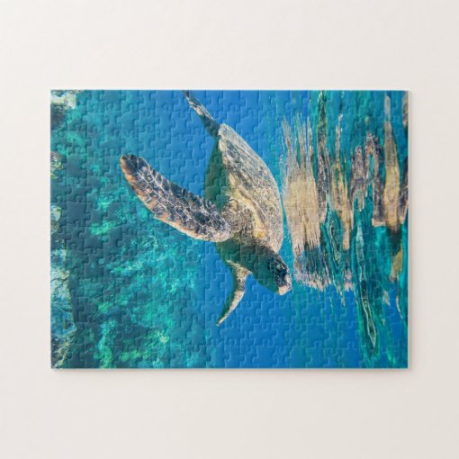Swimming Sea Turtle Jigsaw Puzzle | Zazzle