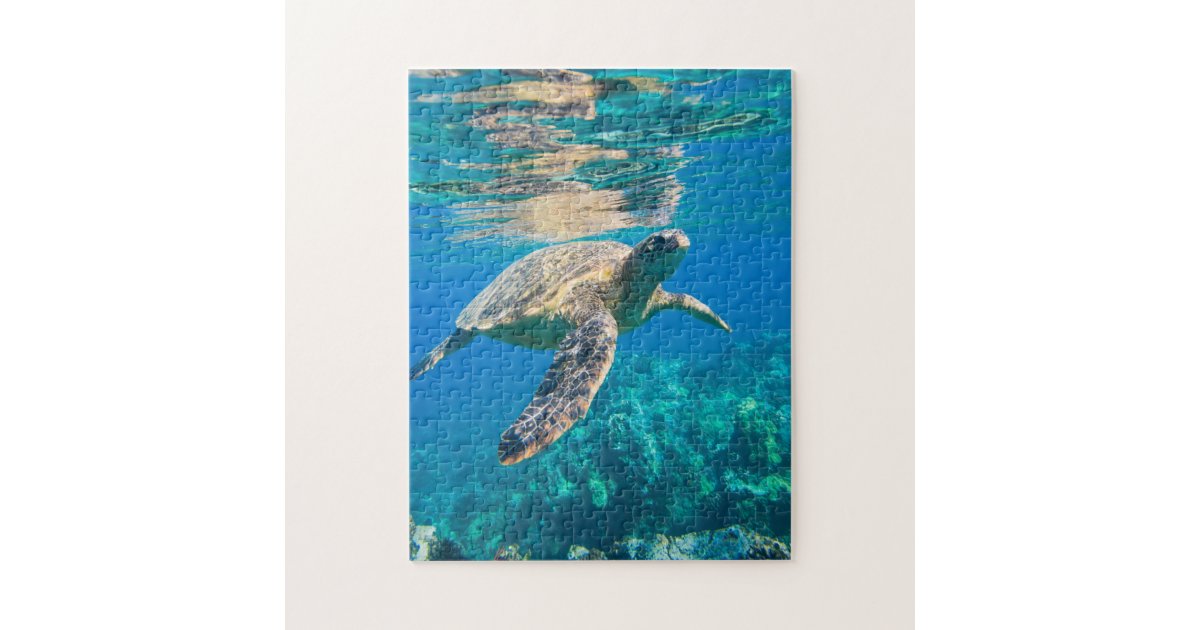 Swimming Sea Turtle Jigsaw Puzzle | Zazzle