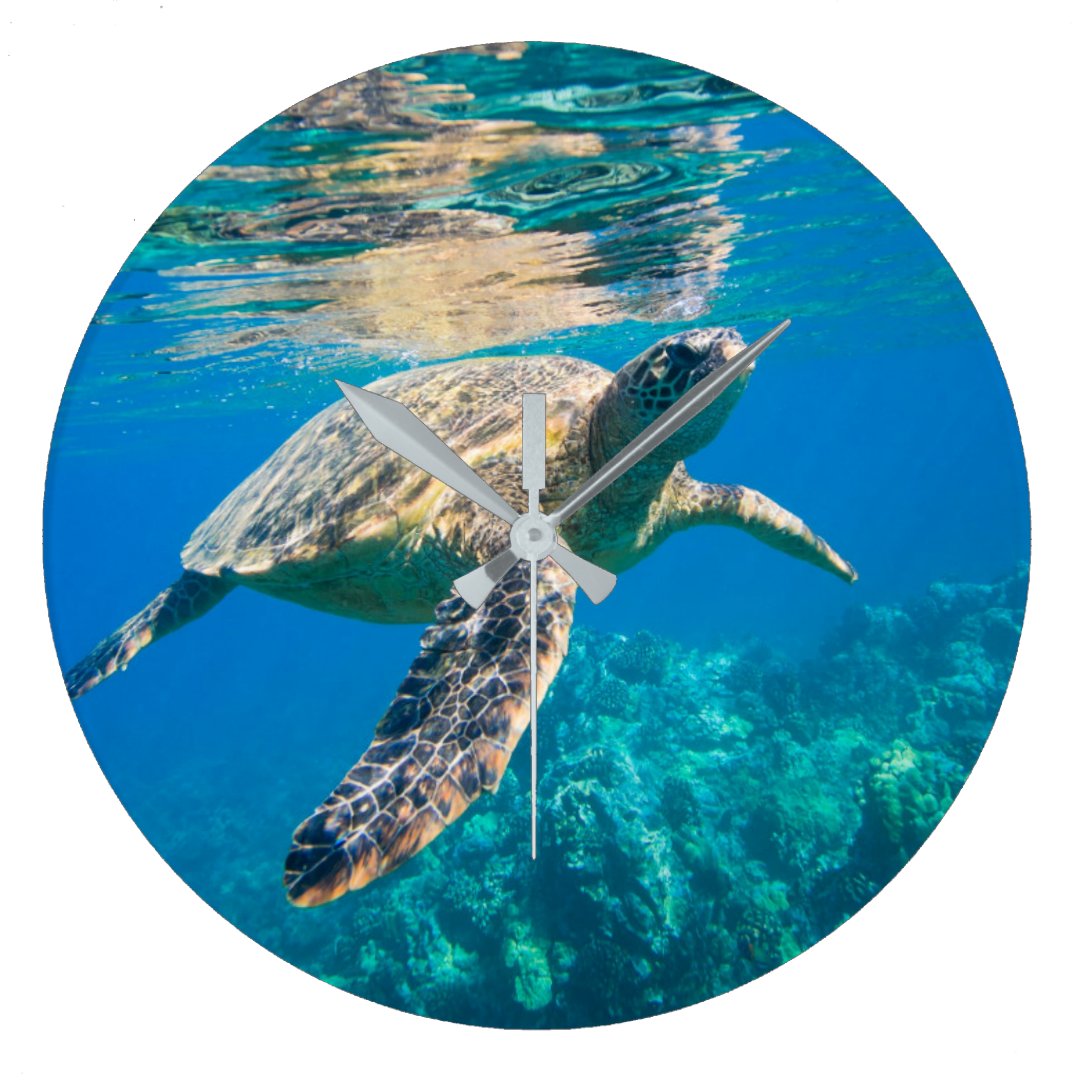 Swimming Sea Turtle Large Clock | Zazzle