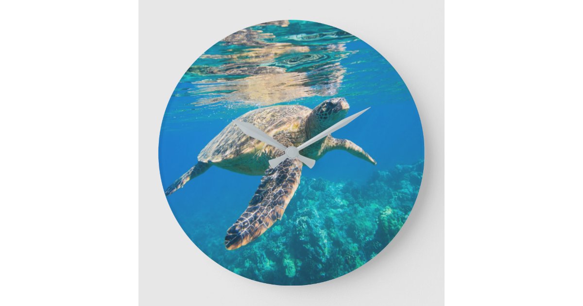 Swimming Sea Turtle Large Clock | Zazzle