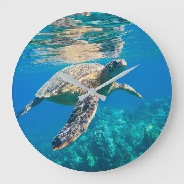 Swimming Sea Turtle Large Clock | Zazzle