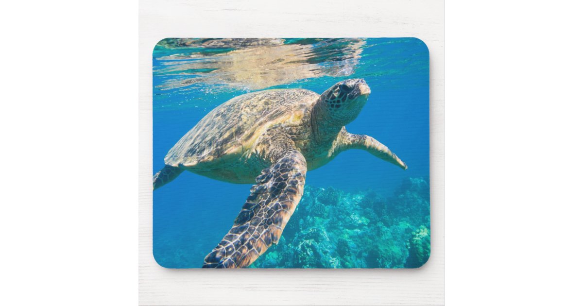 Swimming Sea Turtle Mouse Pad | Zazzle