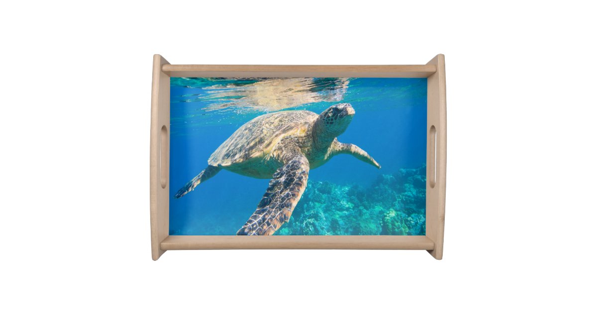Swimming Sea Turtle Serving Tray | Zazzle