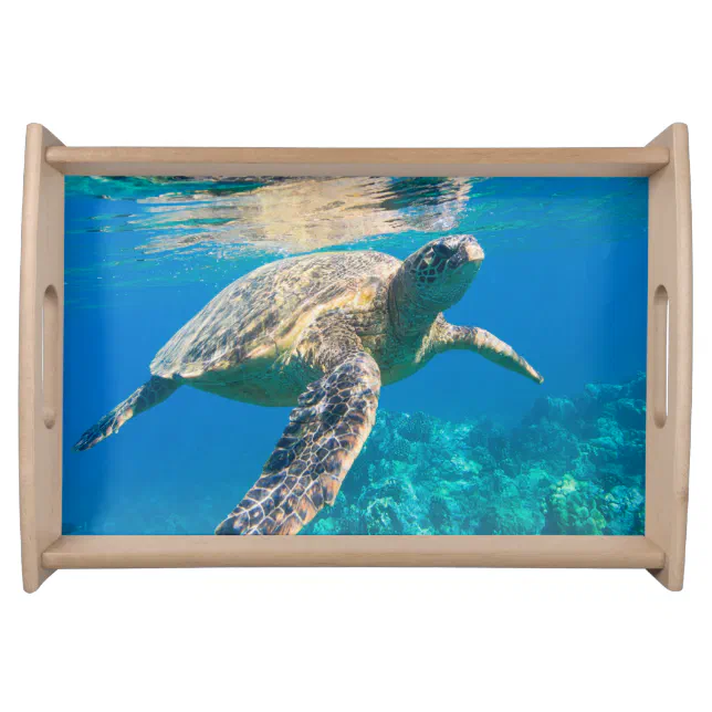 Swimming Sea Turtle Serving Tray | Zazzle