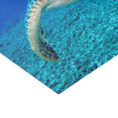 Swimming Sea Turtle Tissue Paper | Zazzle