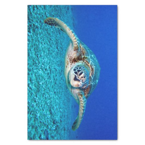 Swimming Sea Turtle Tissue Paper | Zazzle