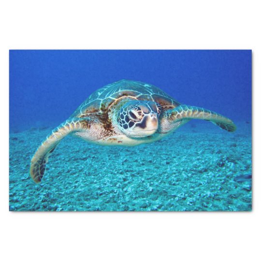 Swimming Sea Turtle Tissue Paper | Zazzle.com